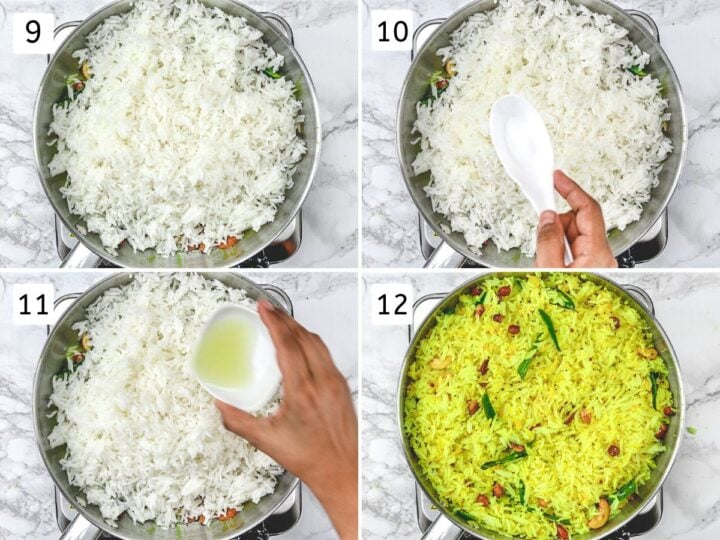 South Indian Lemon Rice Recipe (Chitranna) - Spice Up The Curry