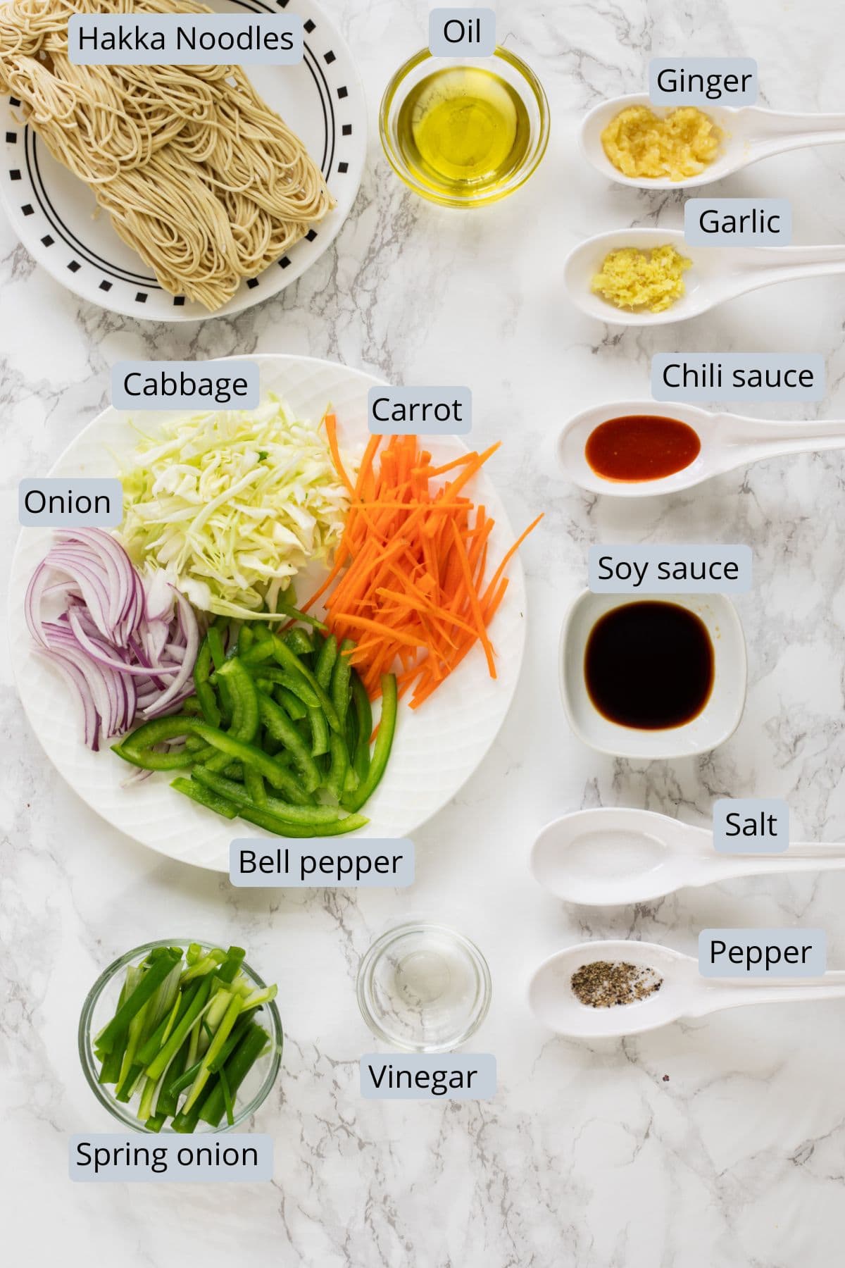 Veg Hakka Noodles Recipe (Indo-Chinese Style) - Spice Up The Curry