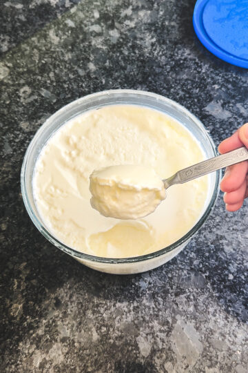 How To Make Curd? (Dahi) - Instant Pot - Spice Up The Curry