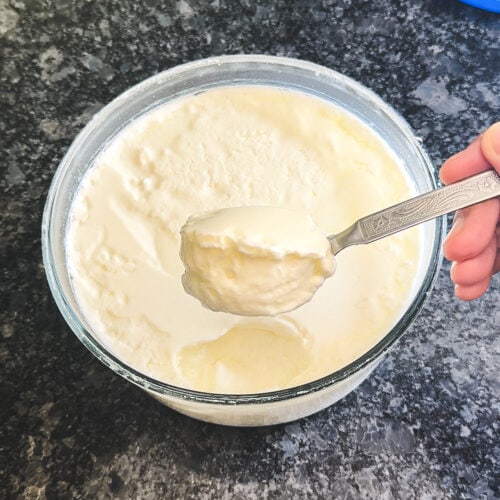How To Make Curd? (Dahi) - Instant Pot - Spice Up The Curry